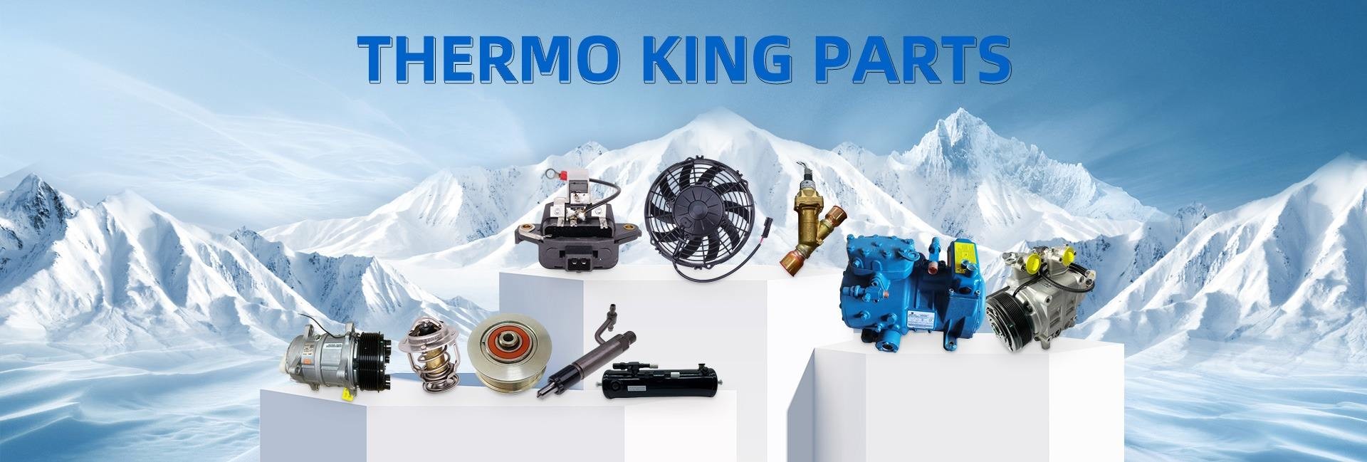 Quality Thermo King Parts & Carrier Unit Parts factory from China