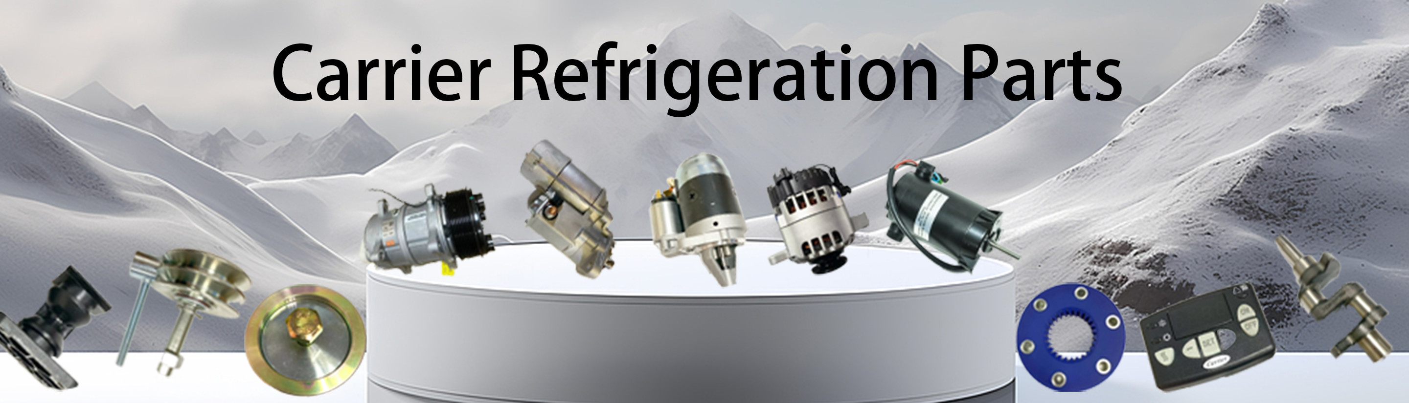 Quality Thermo King Parts & Carrier Unit Parts factory from China